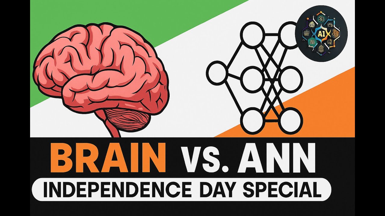 Human Brain vs ANN: Neurons, Synapses & Weights | Deep Learning Basics ...