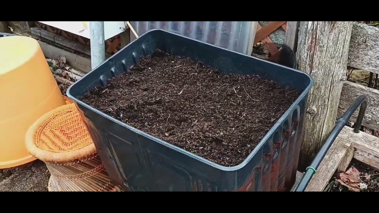 DADS GARDEN TOUR beginning of May, zone 5 - YouTube