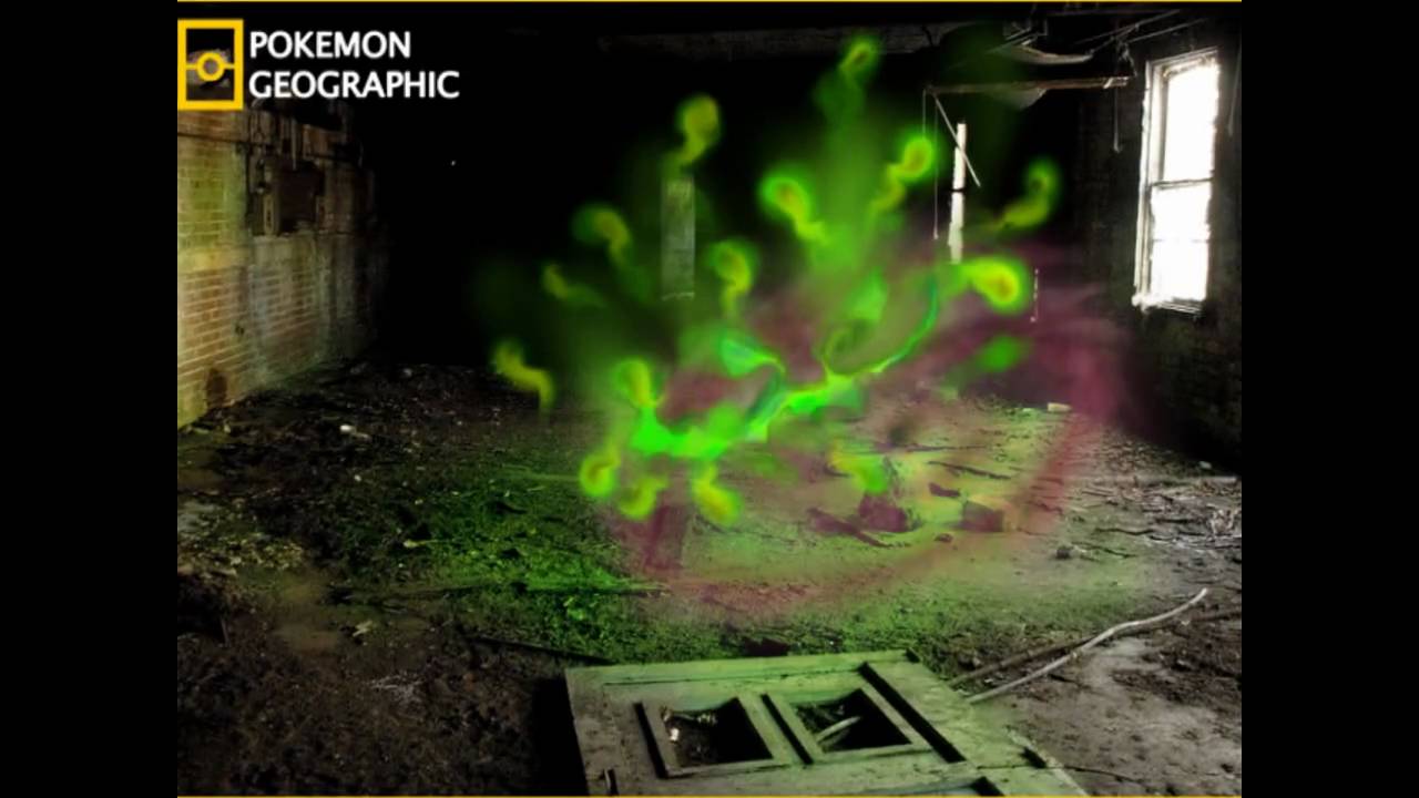 Pokemon Geographic : Real Pokemon - YouTube