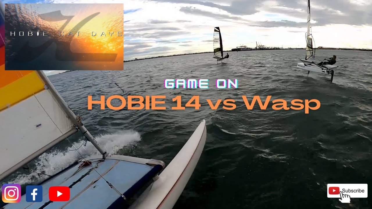 Hobie 14 vs Foiling Wasp sailing drag race - HOBIE CAT DAYS - YouTube