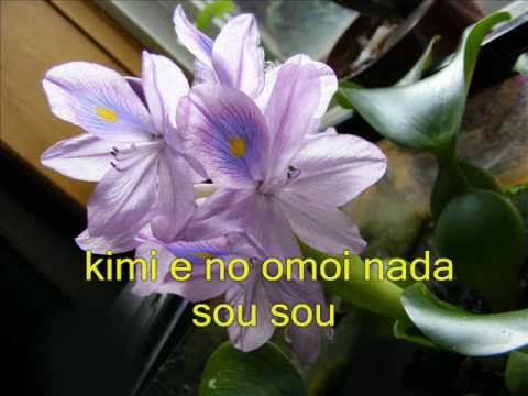 A very sad Japanese song for broken hearts