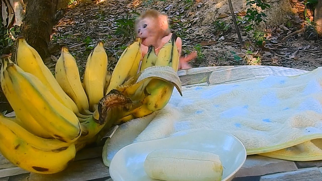 Help Me! Help Me !! Baby Luna Very Scare Fall Down !! - YouTube