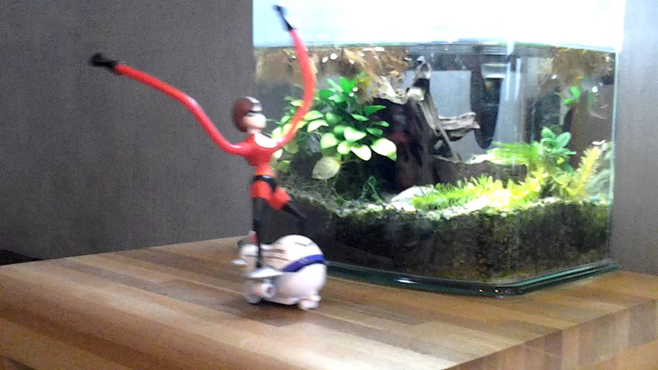 Elastic woman - YouTube