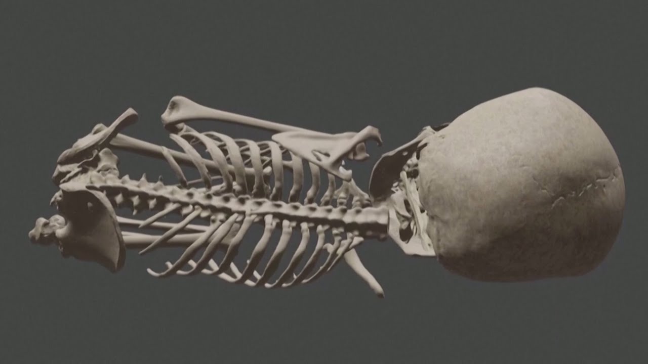 Oldest Known Human Burial Site Reveals Early Human Emotions - YouTube