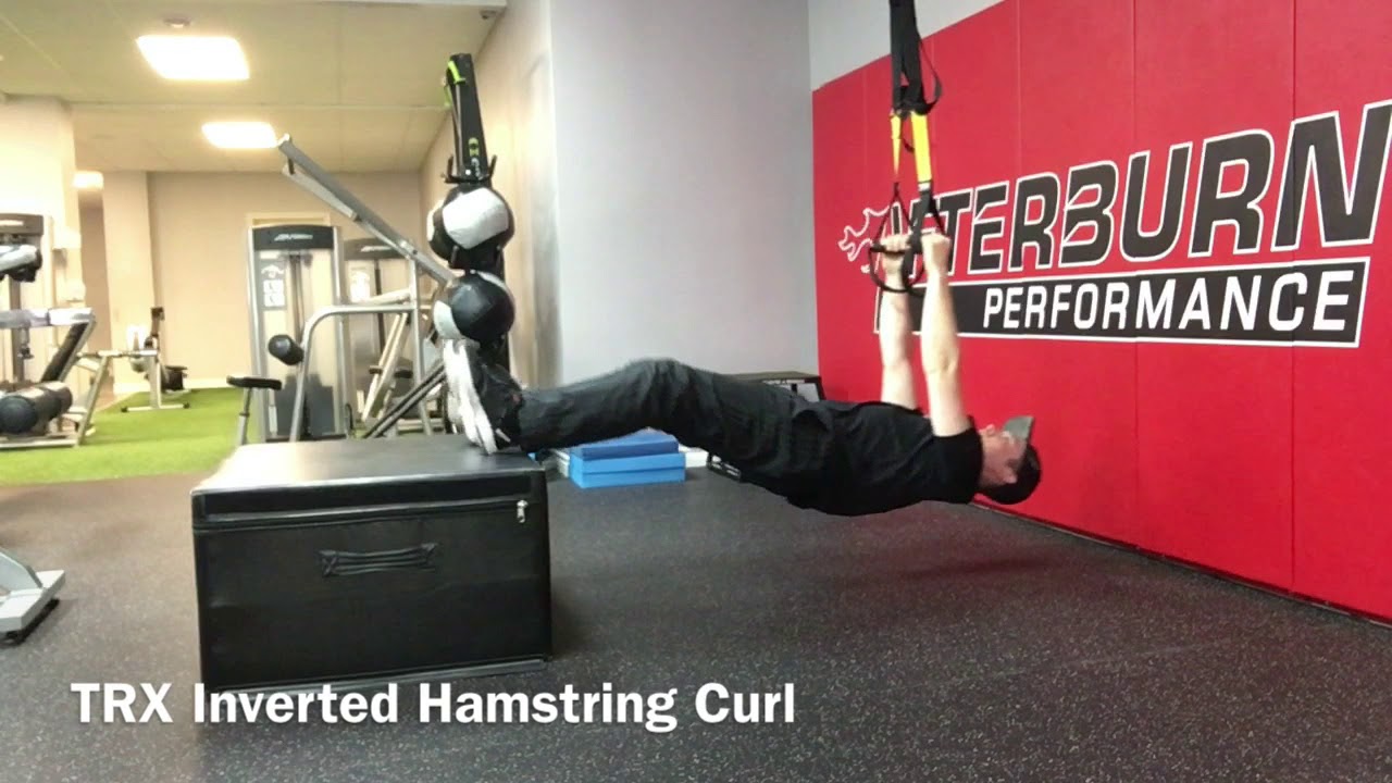 TRX Inverted Hamstring Curl - YouTube