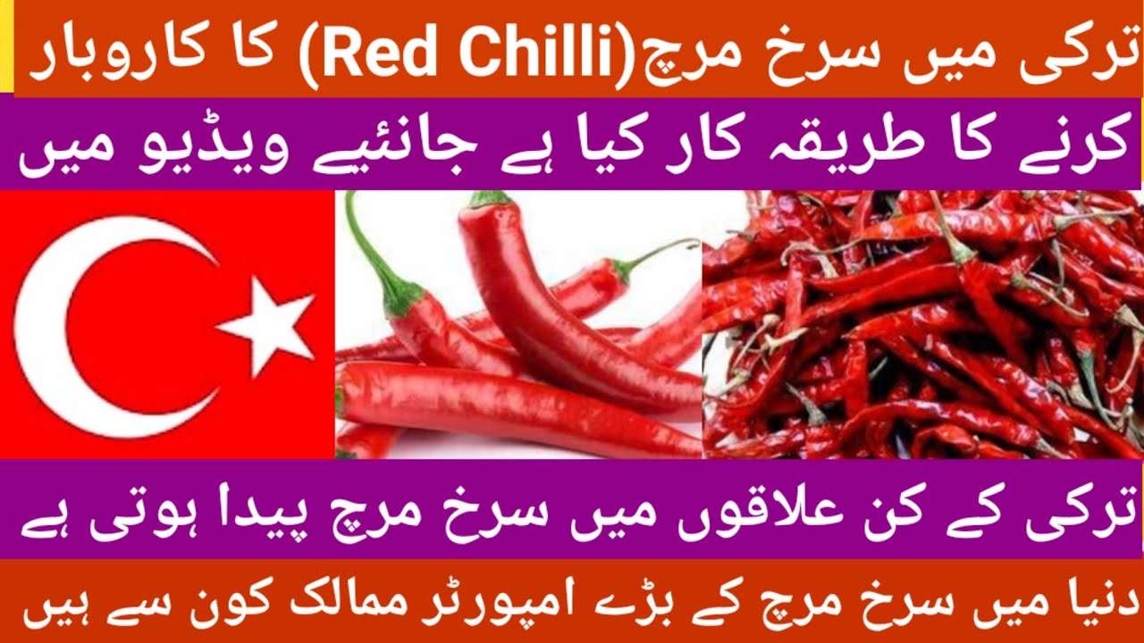 Red chilli Business and trade in turkey, lmport of red chilli and ...