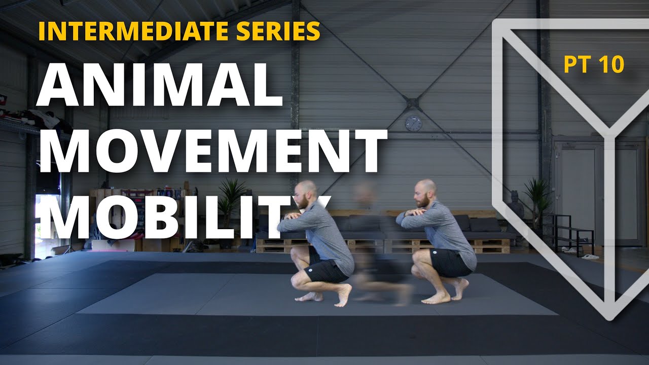 The Simple Way to Increase Mobility FAST - Animal Movement Drills - YouTube