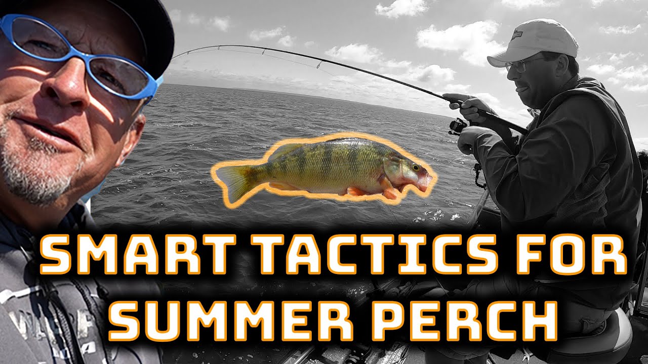 Smart Tactics for Catching Perch - YouTube