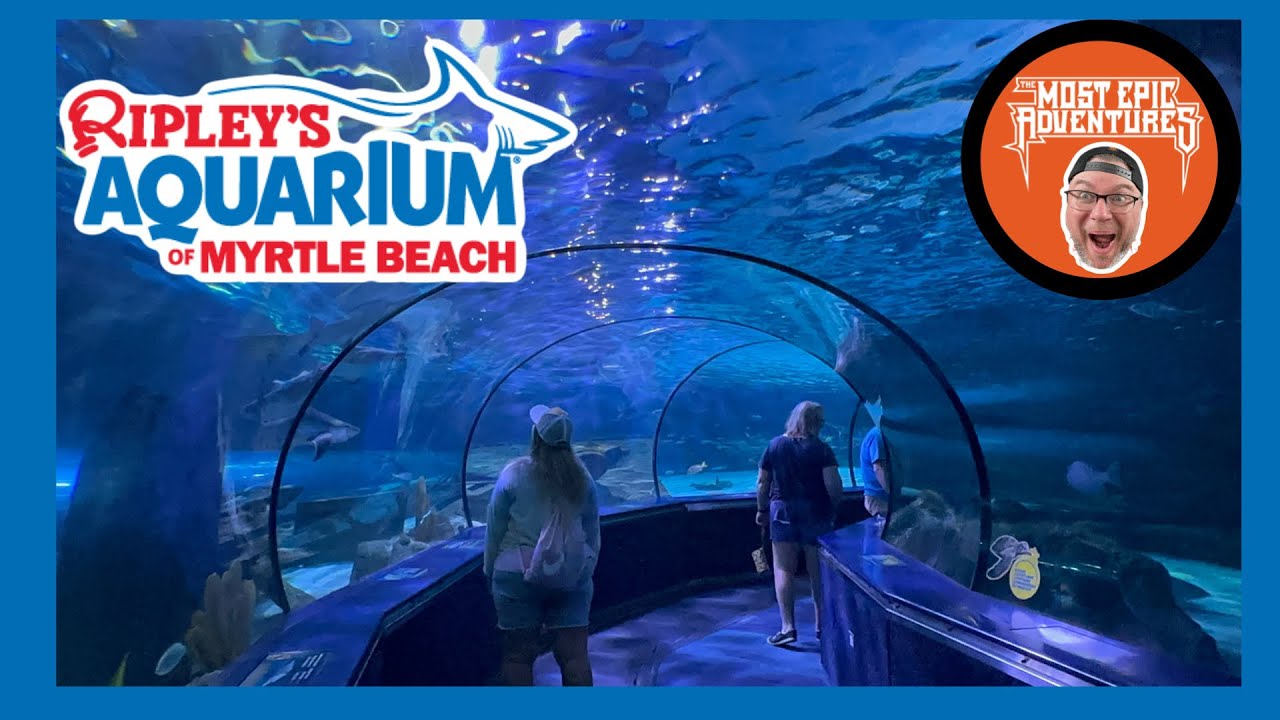 Ripely’s Aquarium of Myrtle Beach 03-26-2023 - YouTube