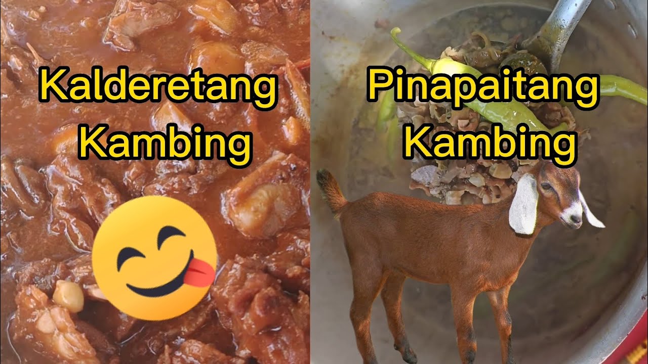 Goat Recipe! ( kalderetang kambing & pinapaitang kambing) goat innards ...