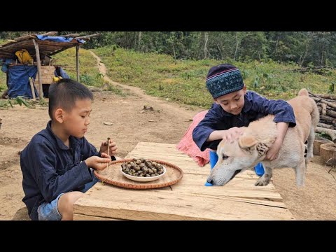 Zavallı çocuk yemek pişirmek için dereden salyangoz yakalıyor, ormanda yaşayan bir yetimin hayatı.