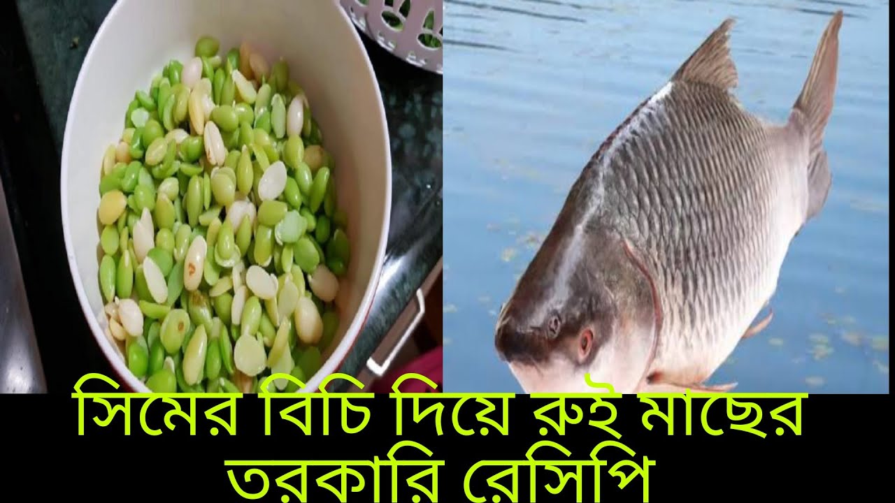 || Shimer Bichi Rui Macher Jol || Shimer Bichi Ranna || - YouTube