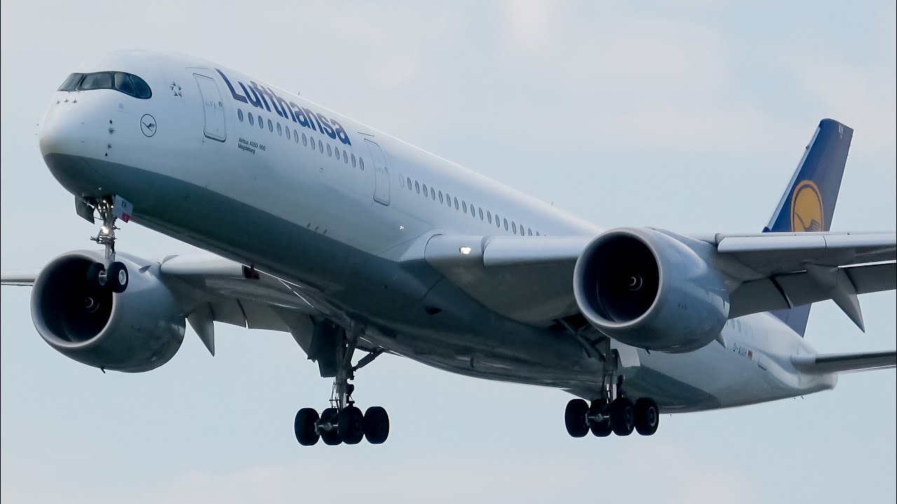 4K | Tuesday Afternoon Arrivals at Toronto Pearson Airport ...