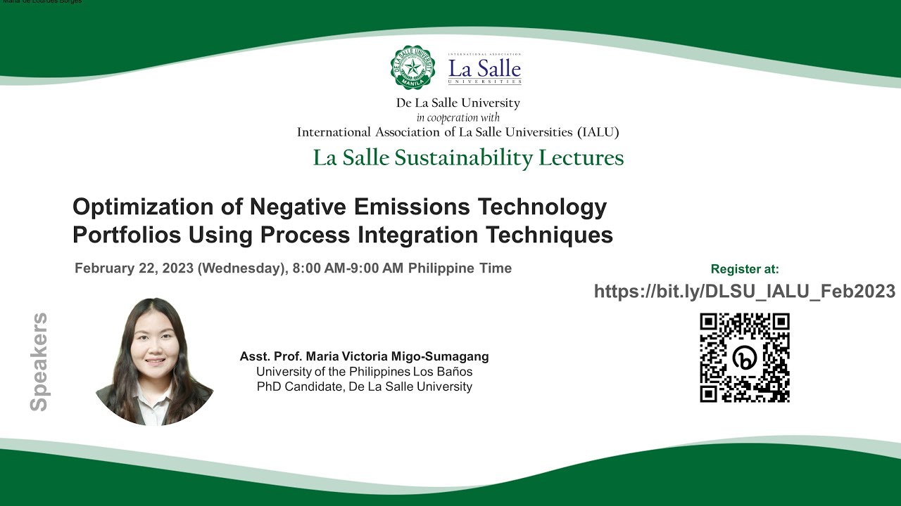 Optimization of Negative Emissions Technology Portfolios Using Process Integration Techniques ...