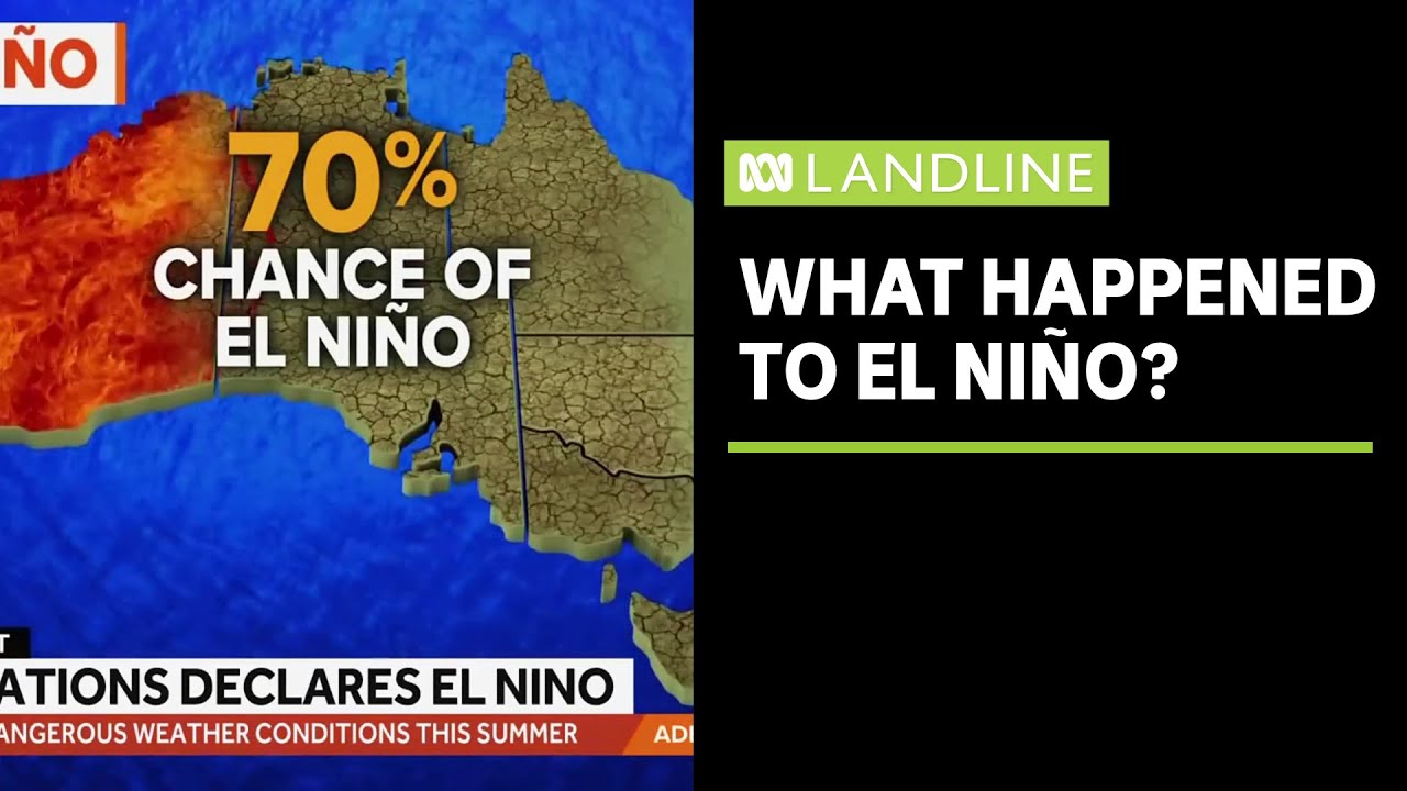 Did the weather bureau get this summer's forecast wrong? | Landline ...