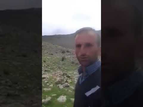 Bingöllü Çobana Karşı Niğdeli Çoban