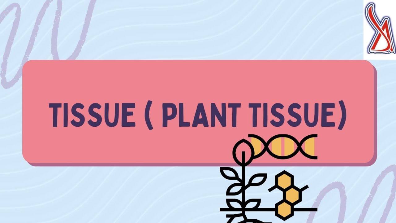 |Biology Topic: Tissue| |Plant Tissue| |Class 9th CBSE & ICSE| |NCERT ...