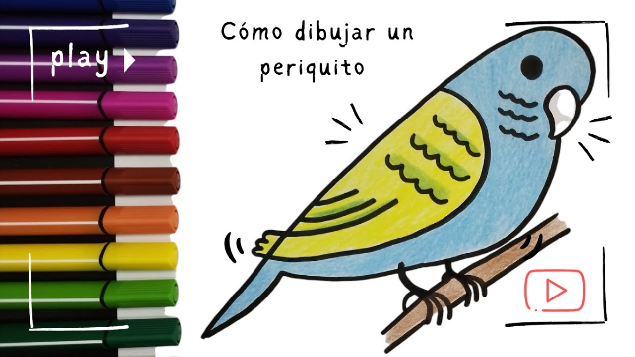 Cómo DIBUJAR un AVE (PERIQUITO) fácil | Paso a paso - YouTube