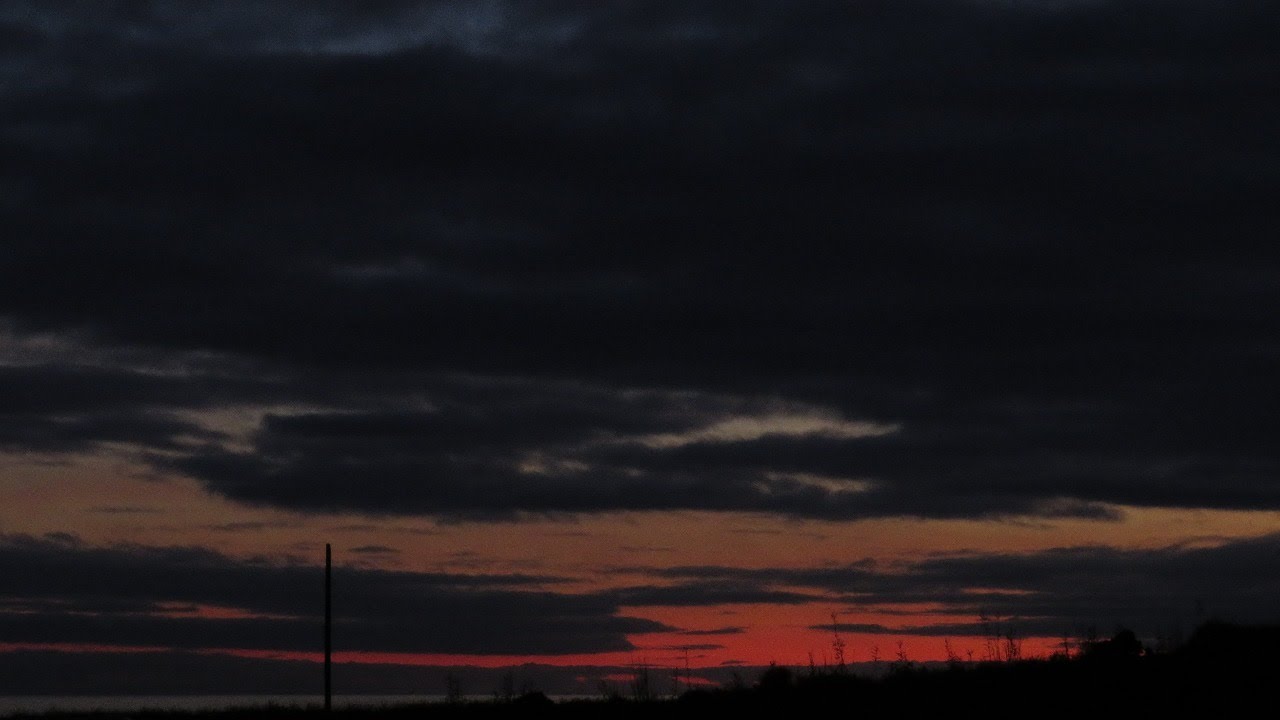 Arthur Bestor - YouTube