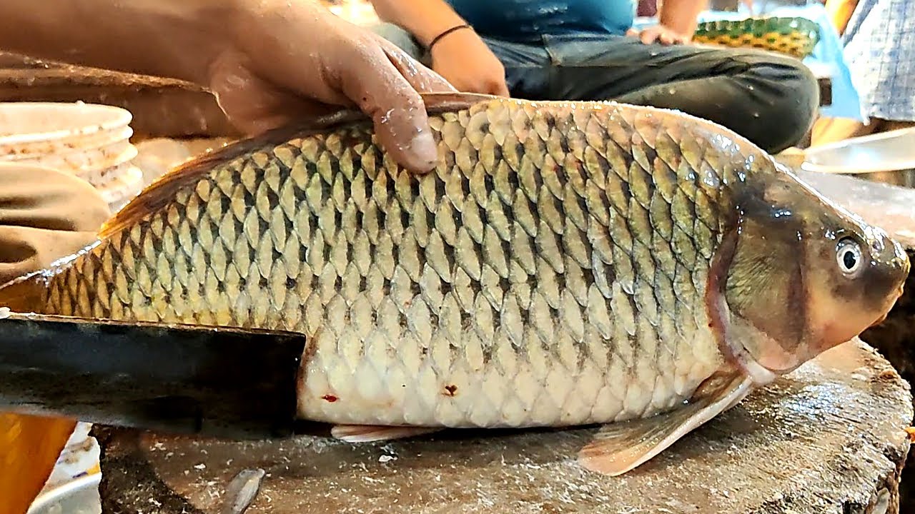 CARP FISH Cutting Skills Live In Fish Market | GRAVID FISH Cutting ...