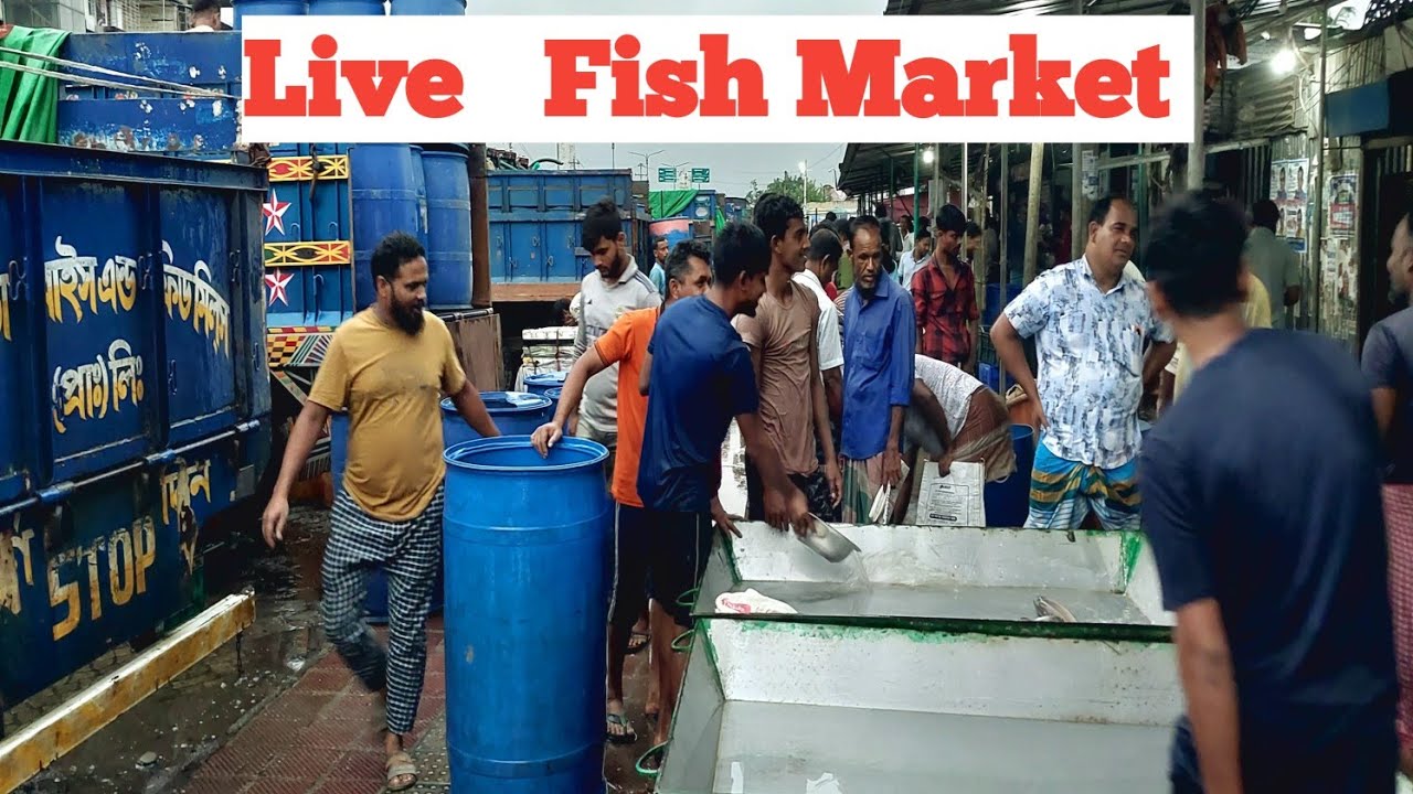 LiVe-fish market, Amazing fish market. - YouTube