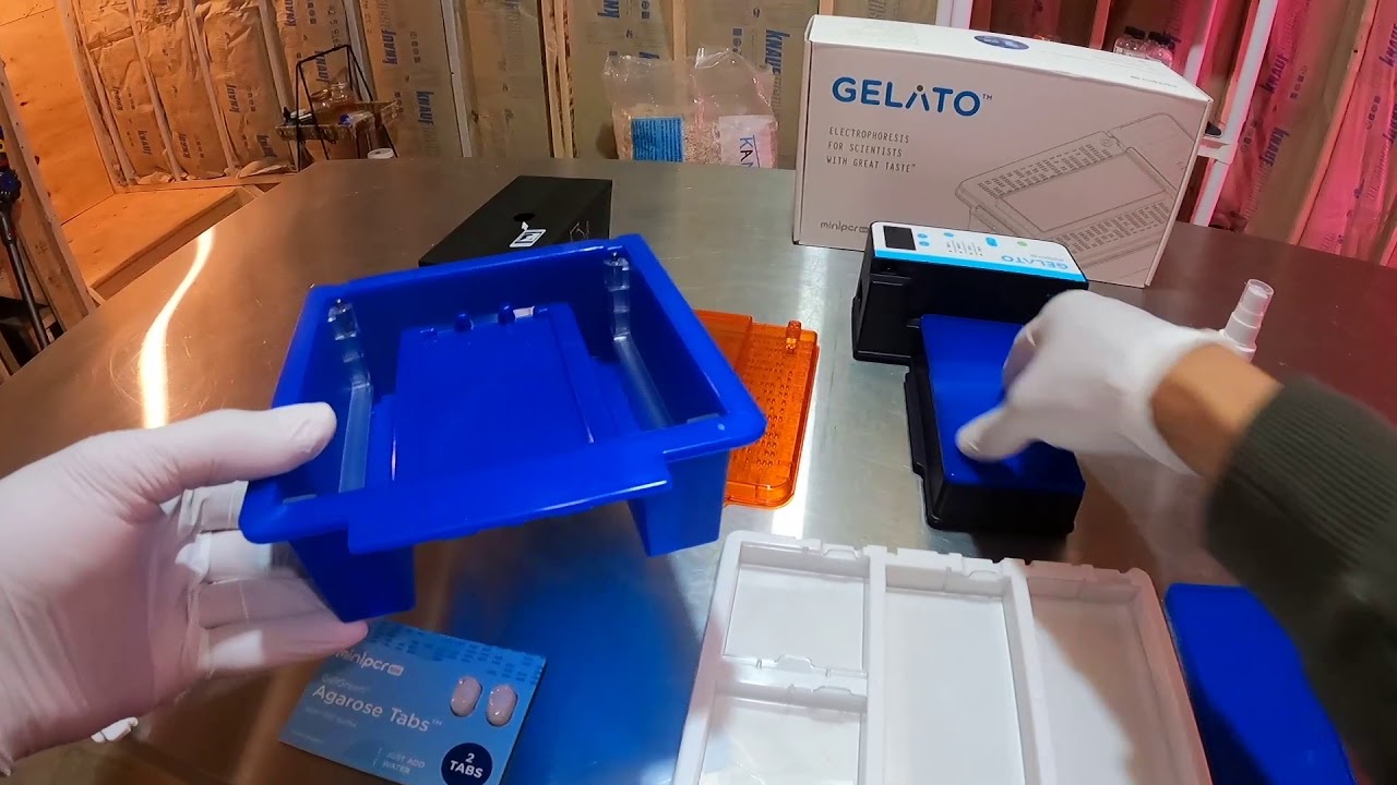 Gelato Review (MINI PCR GELATO ELECTROPHORESIS & VISUALIZATION UnBOXING ...