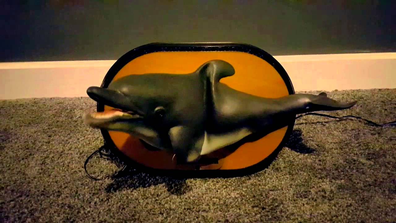 Bubble Bopper singing dolphin - YouTube