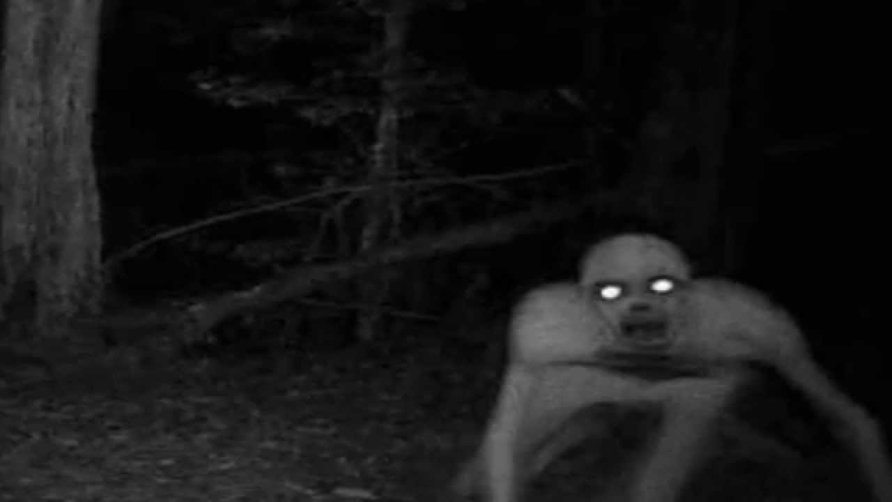 THE RAKE [HISTORIA REAL] @rxd - YouTube