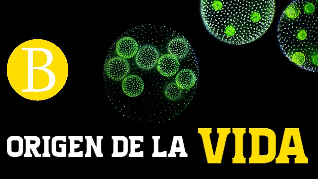 ¿CUÁL ES EL ORIGEN DE LA VIDA? | Teoría quimiosintética - YouTube