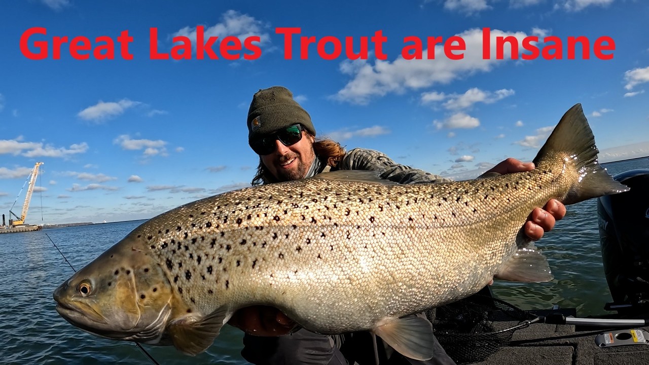 Great Lakes Trout Are INSANE (Wisconsin) - YouTube