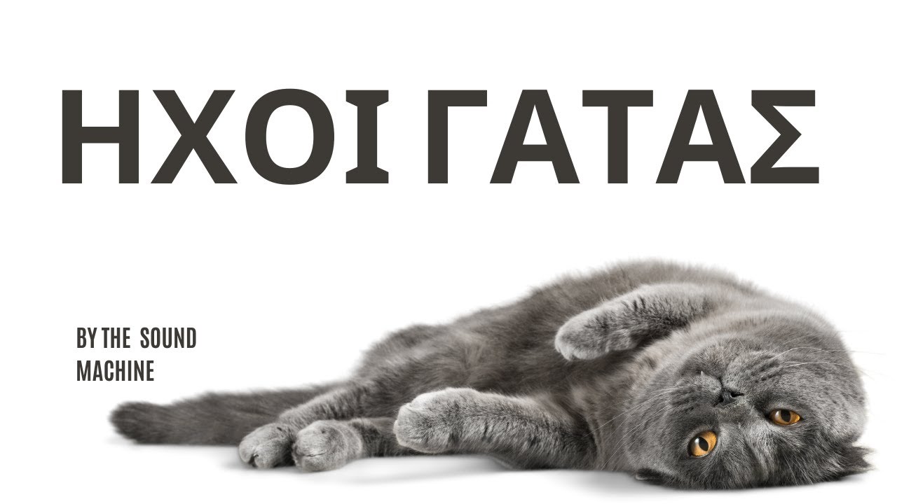 Ηχοι Γατας/Cat Sounds - YouTube