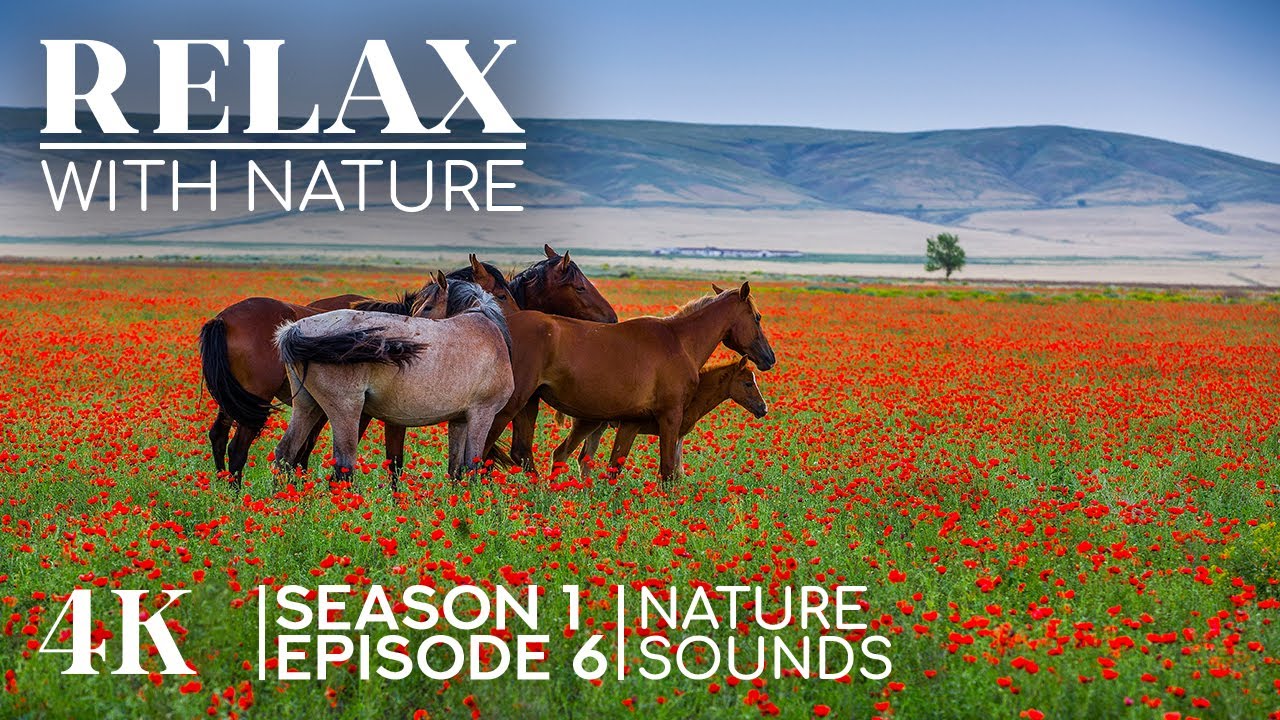 Breathtaking Scenery of the World's Best Locations with Authentic ...