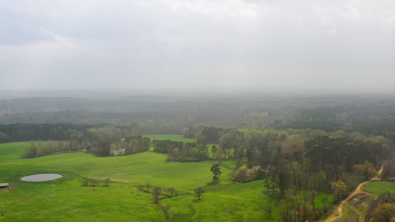 Jasper County GA pollen clouds. - YouTube