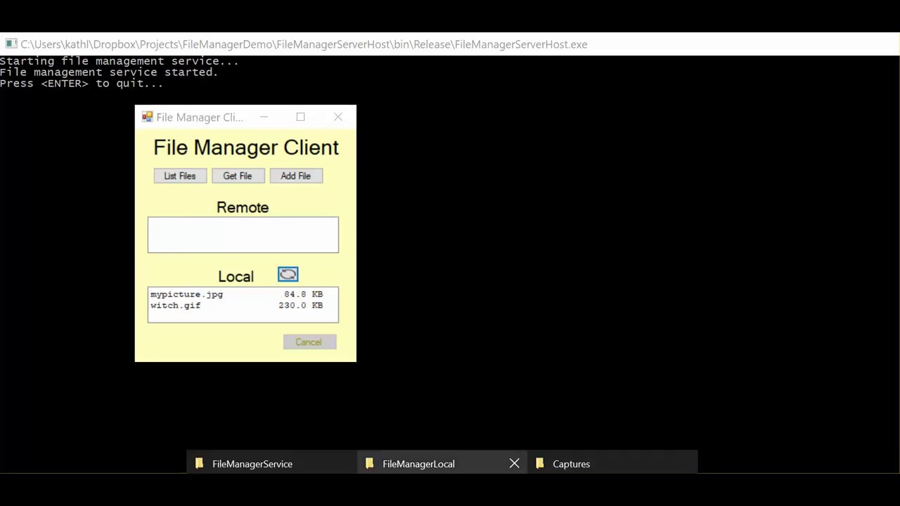 FileManager Service and Client Software Demo - YouTube