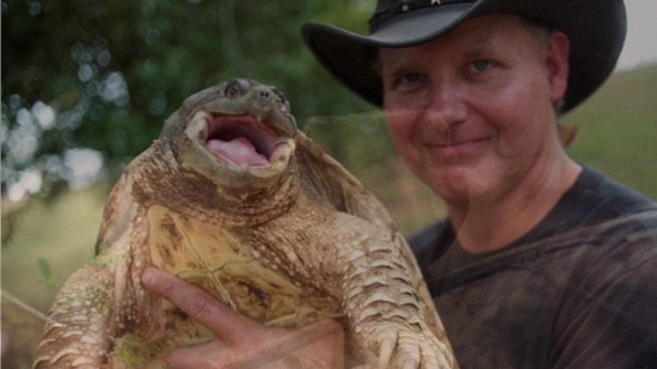 Turtle Mans Best Moments - YouTube
