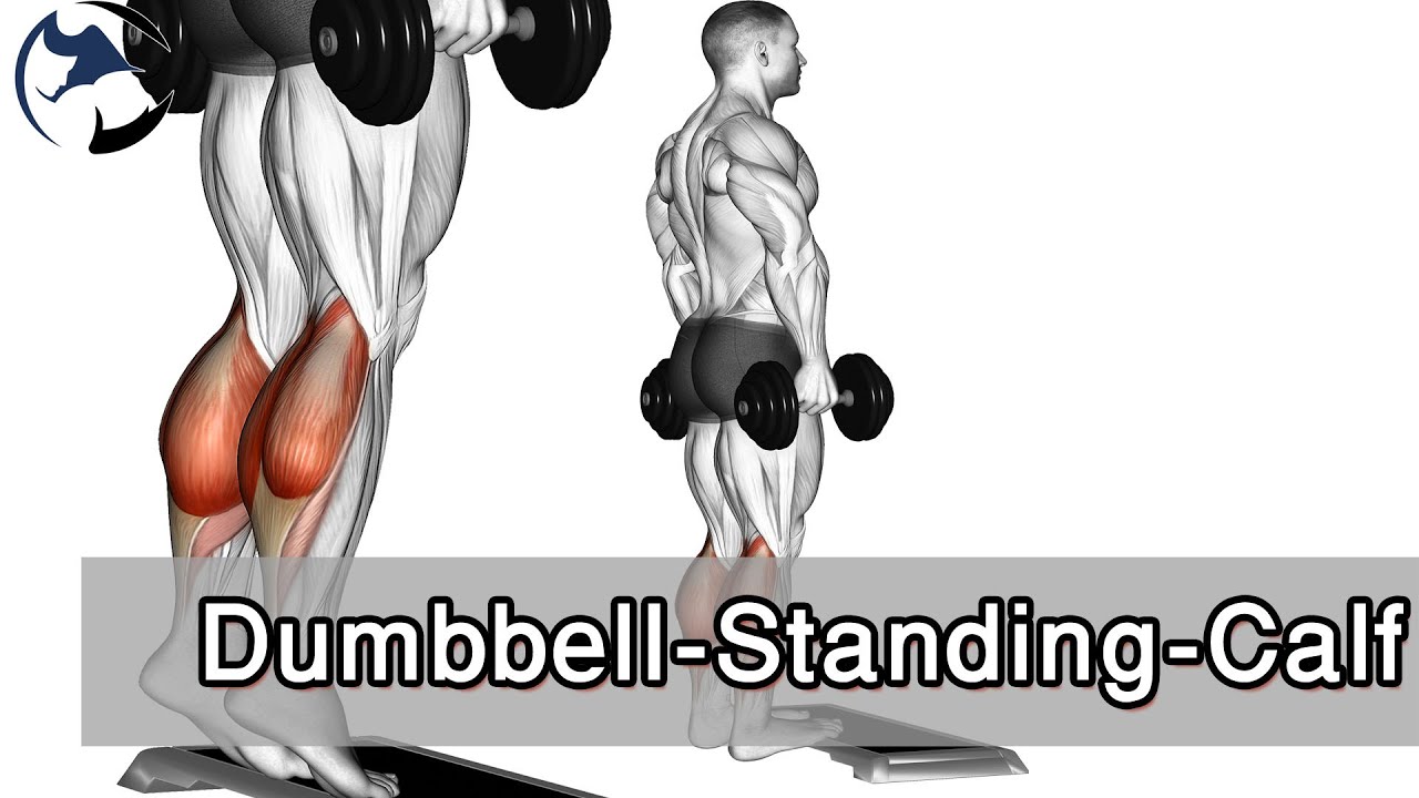 how to Dumbbell Standing Calf Raise Calves | calf - YouTube