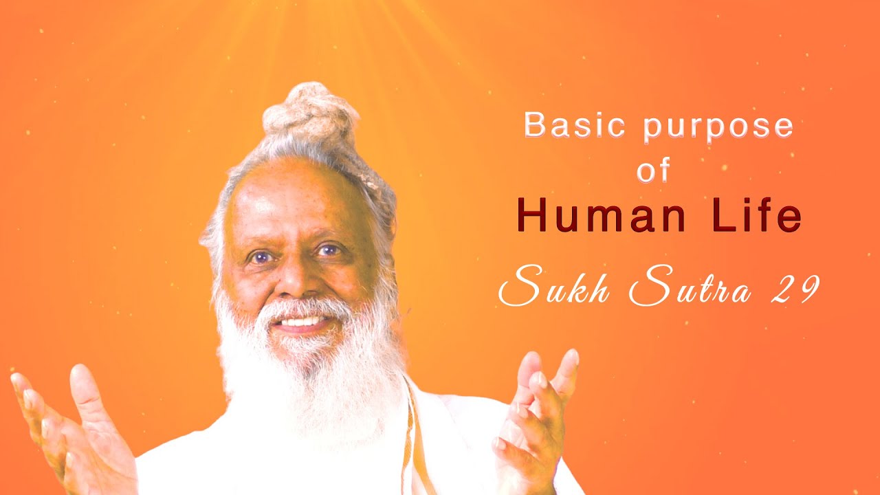 Sukh Sutra 29 | What is Purushartha | Basic purpose of Human Life - YouTube