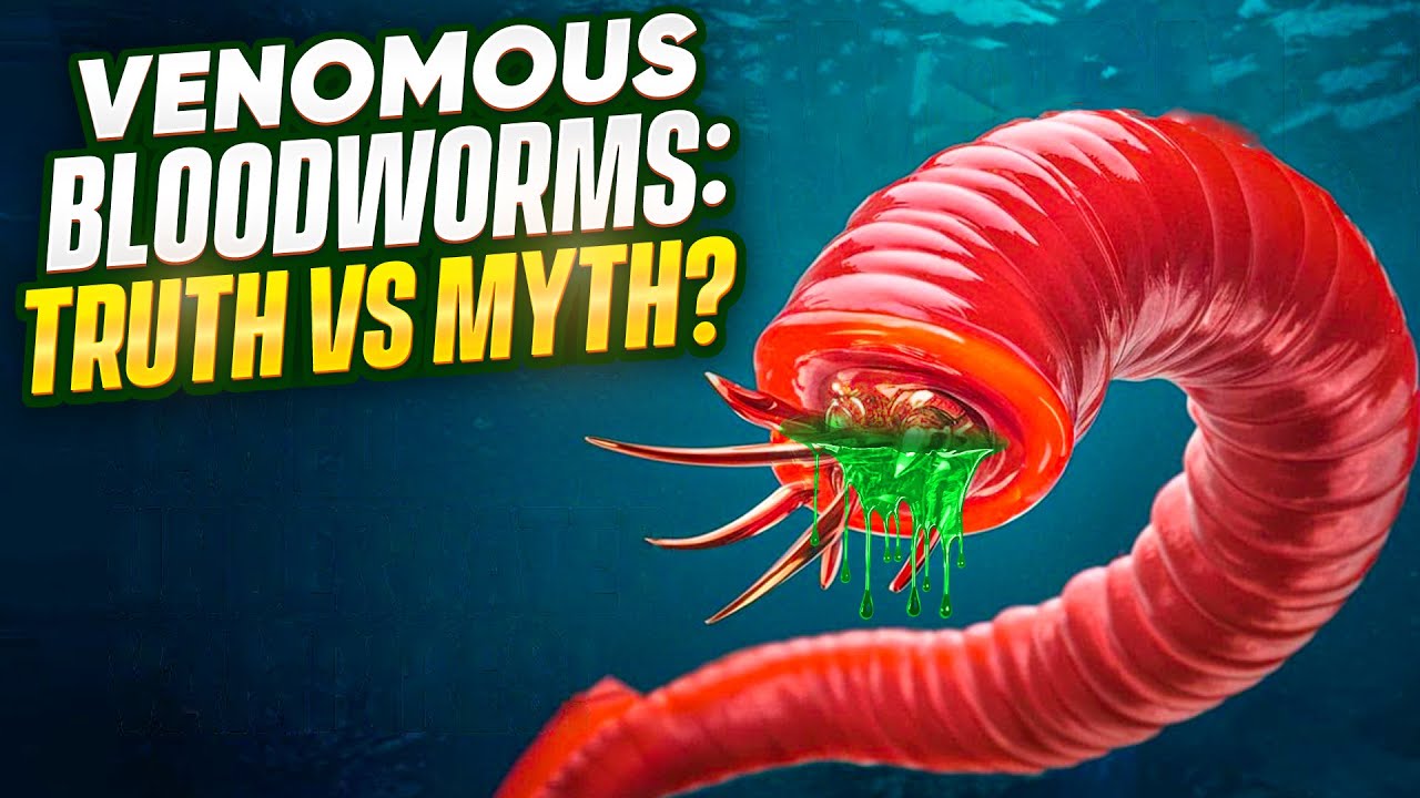The Bloodworm The Venomous Nightmare - YouTube