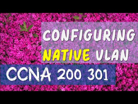 Configuring native vlan - YouTube