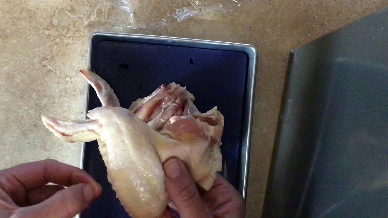 Chicken Wing Disection - YouTube