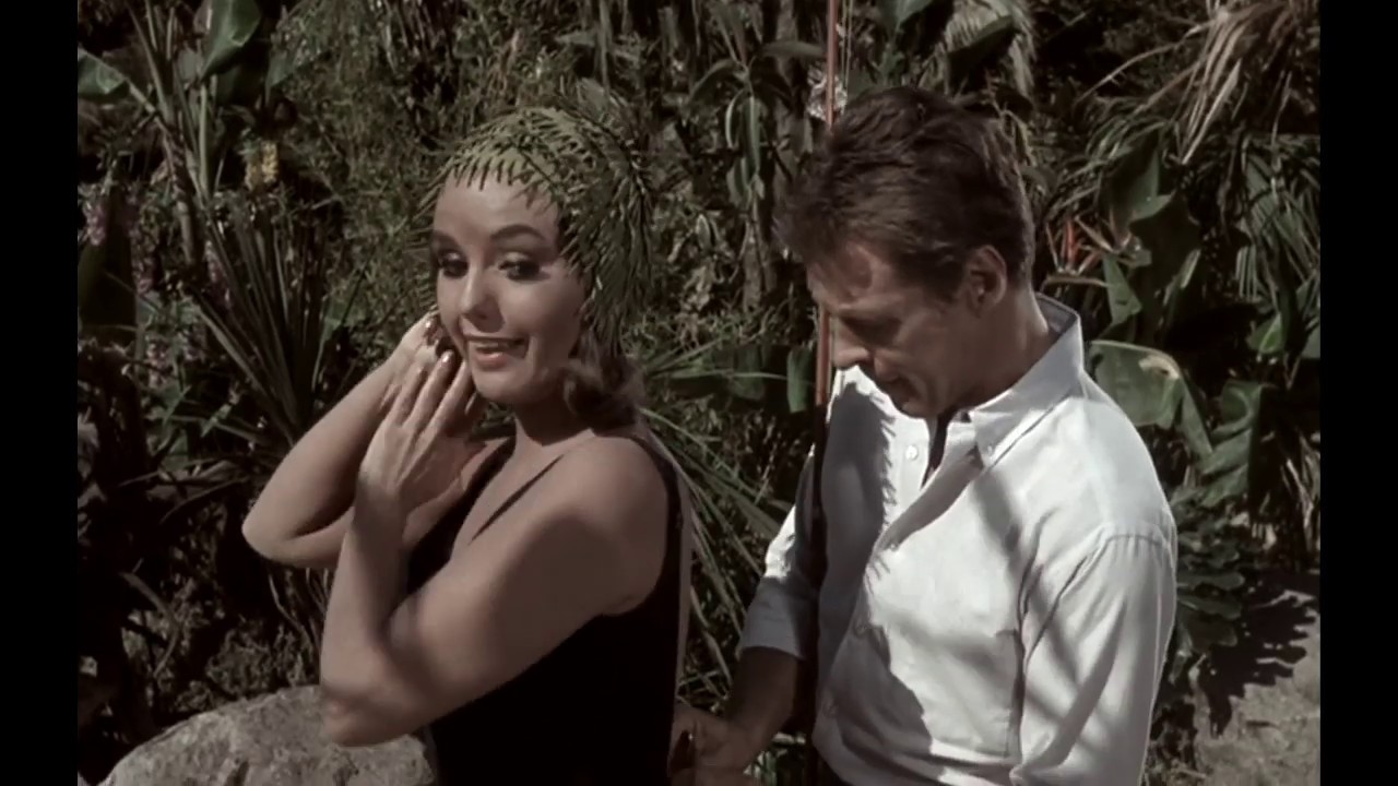 The Professor and Mary Ann - Build Your Love - Gilligan’s Island - YouTube