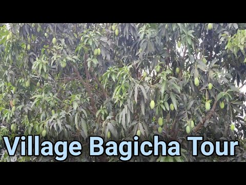 Bagicha Tour | आम का बगीचा | Bagwani Kheti | Garden | Garden Kheti ...