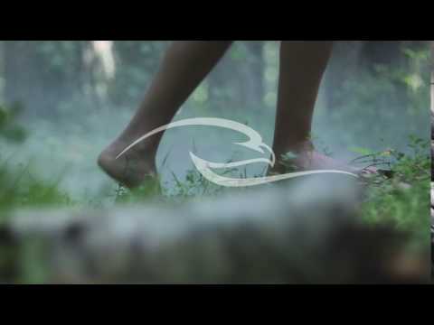 Woman Legs Walk Through Forest