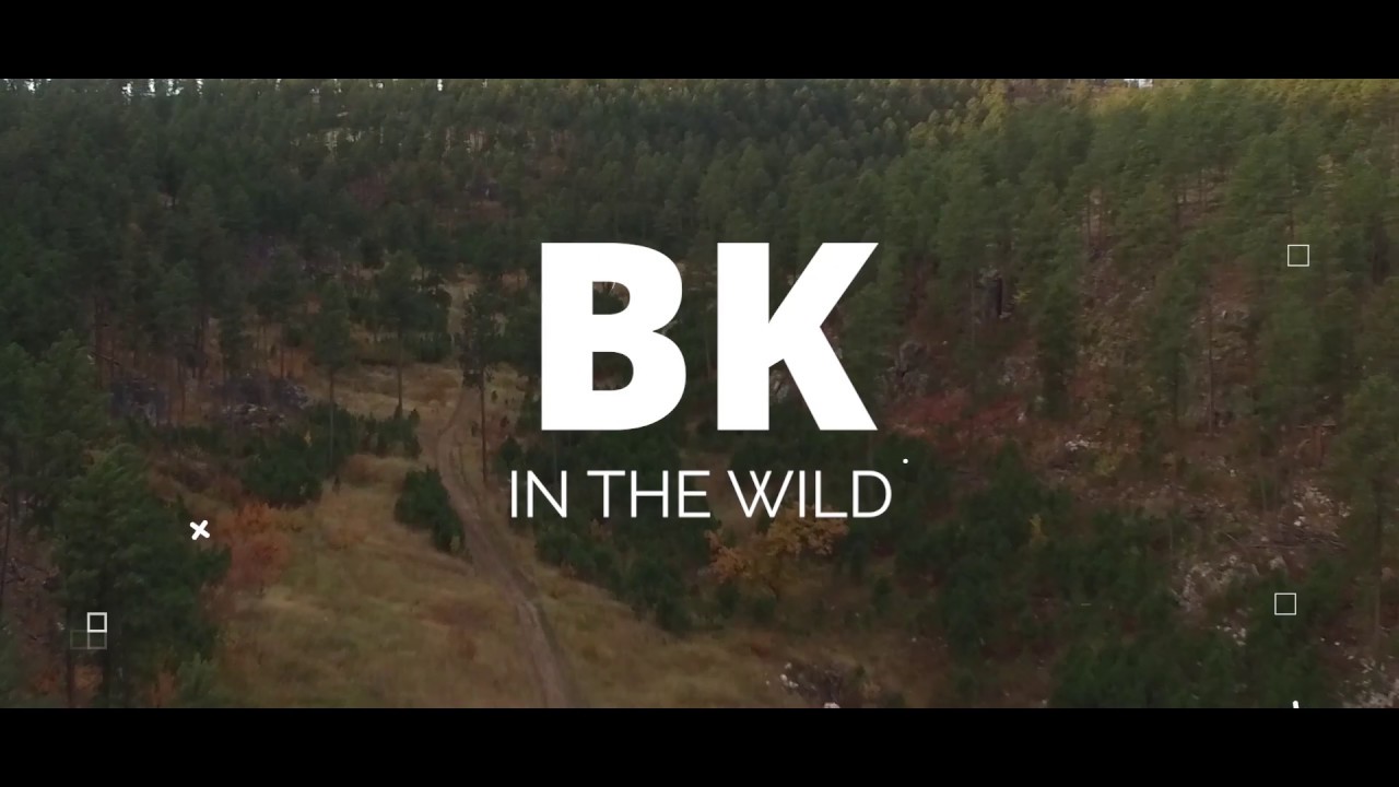 Securing Wild Edge Steps to Pine Trees - YouTube