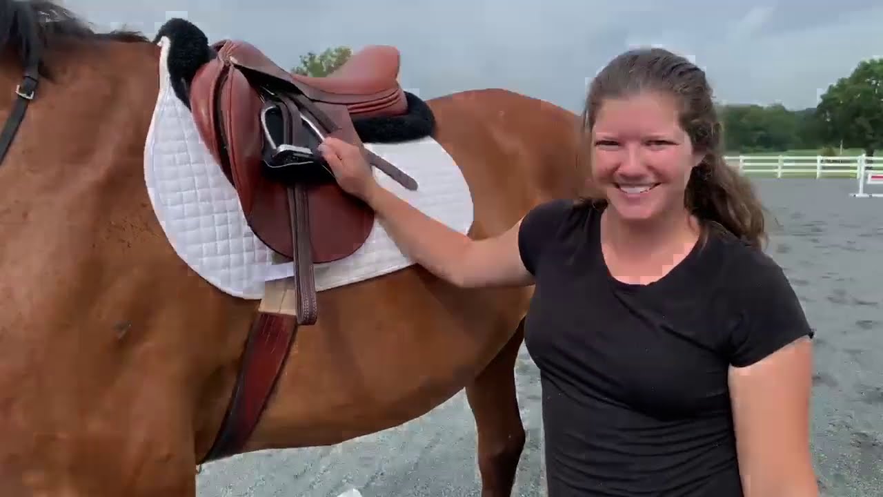 Introducing Tether Shield stirrup covers - YouTube