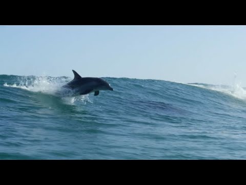 combat surf 2 - YouTube