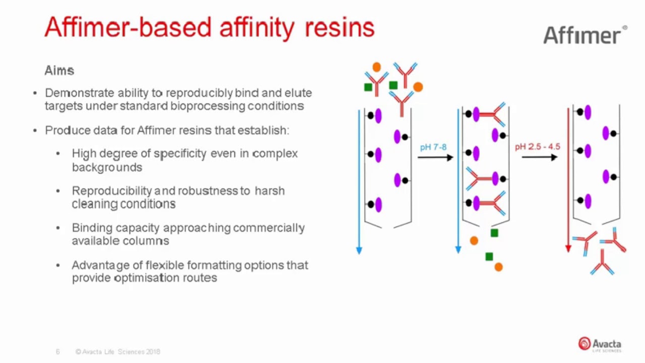 High Throughput Screening of Affimer Proteins using SPRi Label-Free ...