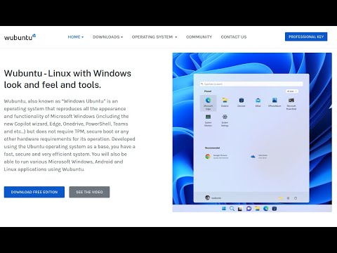 This Operating System Looks Like Windows 11! - YouTube