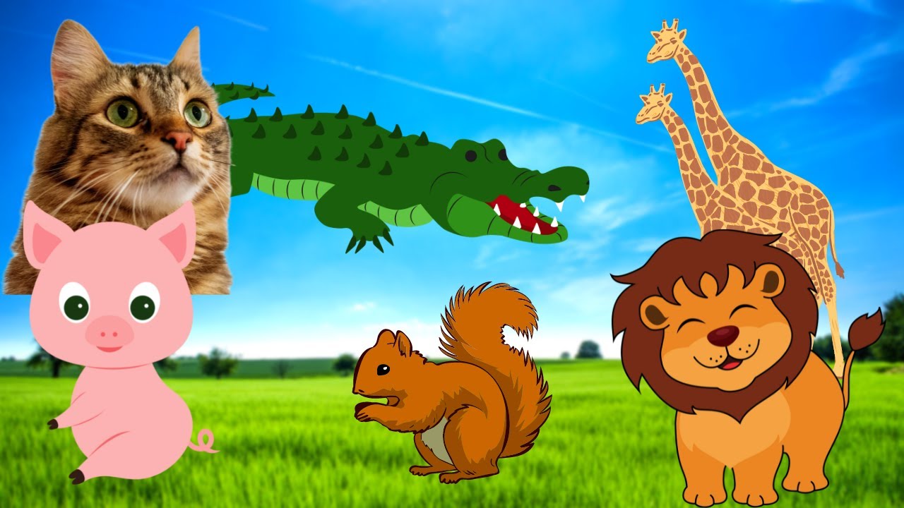 Animal Sounds You Want to Hear - Elephant, Giraffe, Squirrel, Crocodile ...