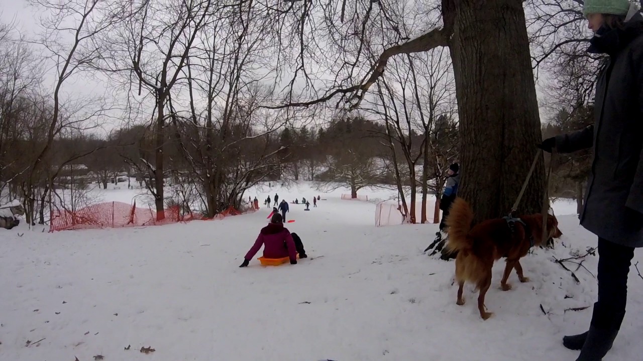 Sledding at Webster Park! - YouTube